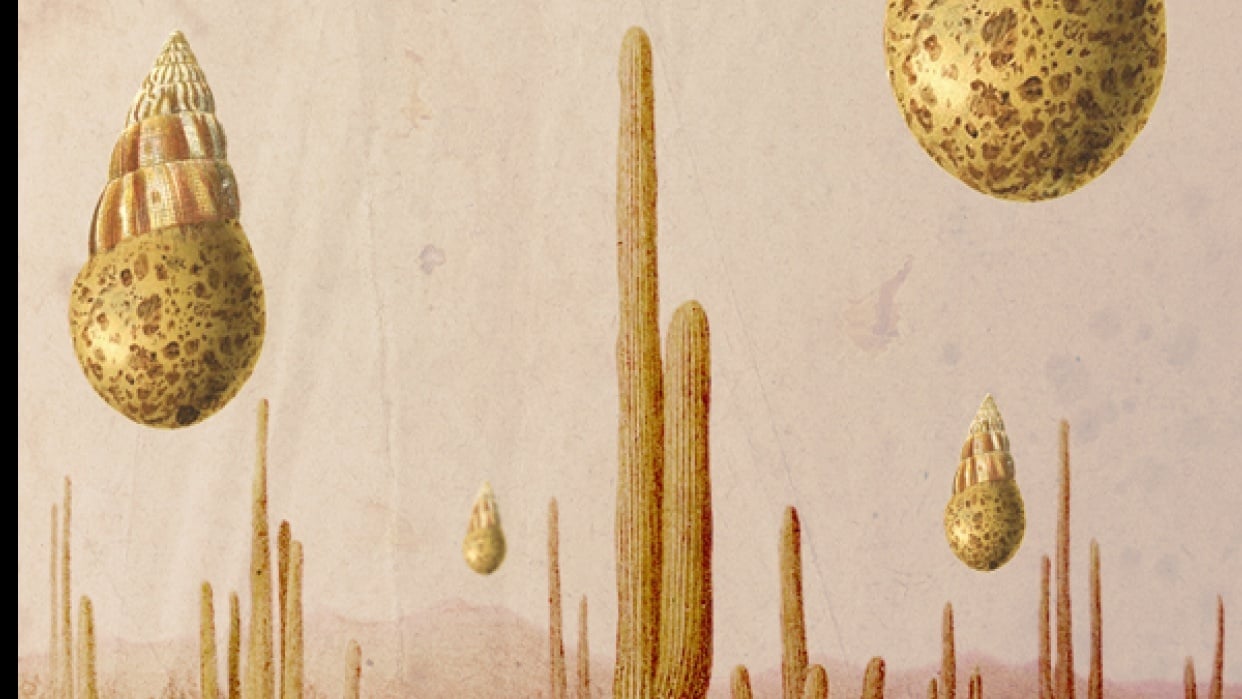 Egg Shell Visitors + Warriors Ink | Skillshare Student Project