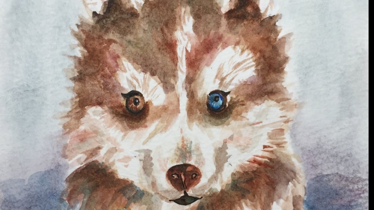 Watercolor dog | Skillshare Student Project