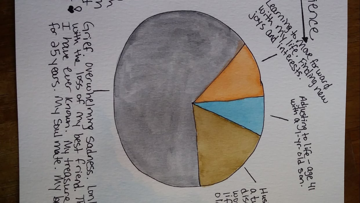 2018 Resilience Pie Chart | Skillshare Student Project