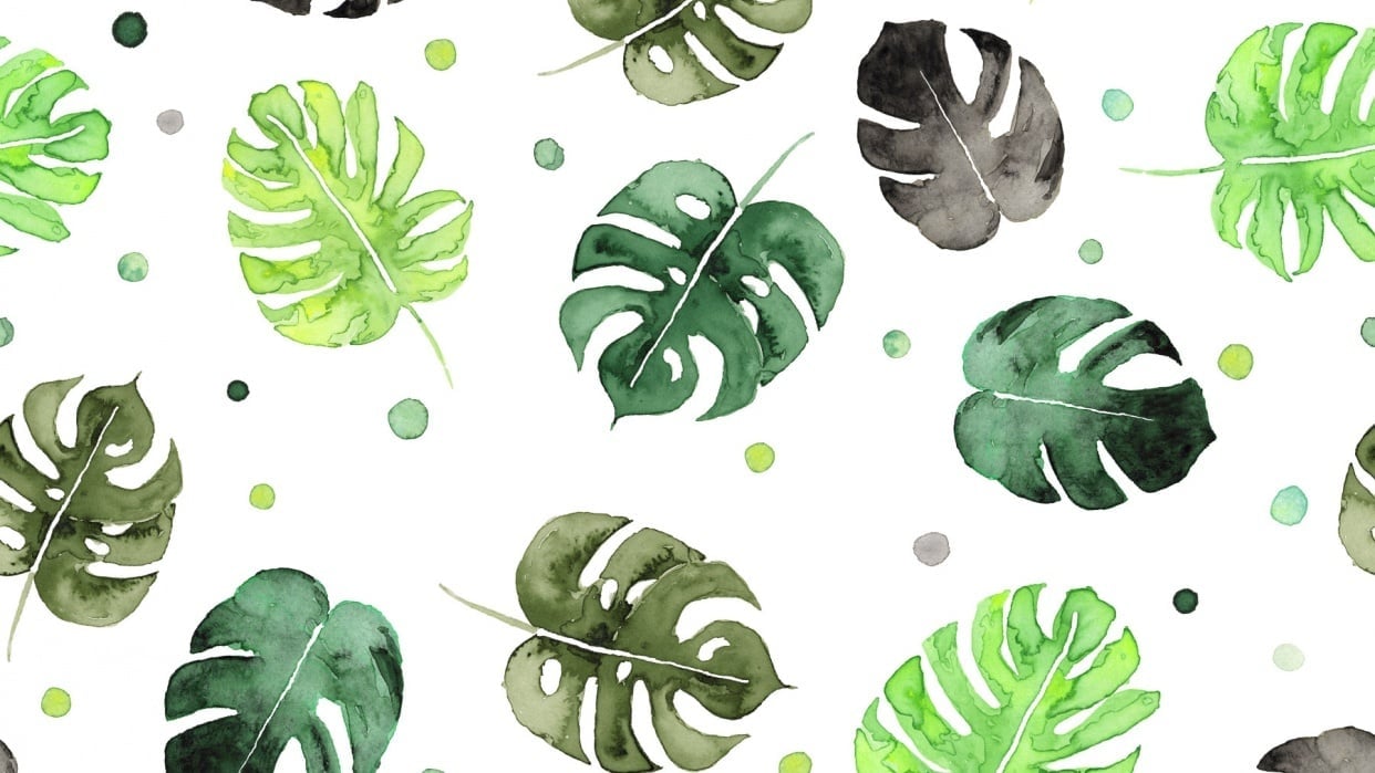 Monstera Bubble | Skillshare Student Project