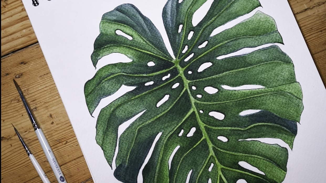 Monstera leaf | Skillshare Student Project