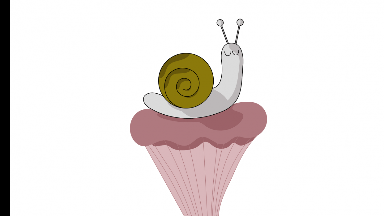 Sammy | Skillshare Student Project