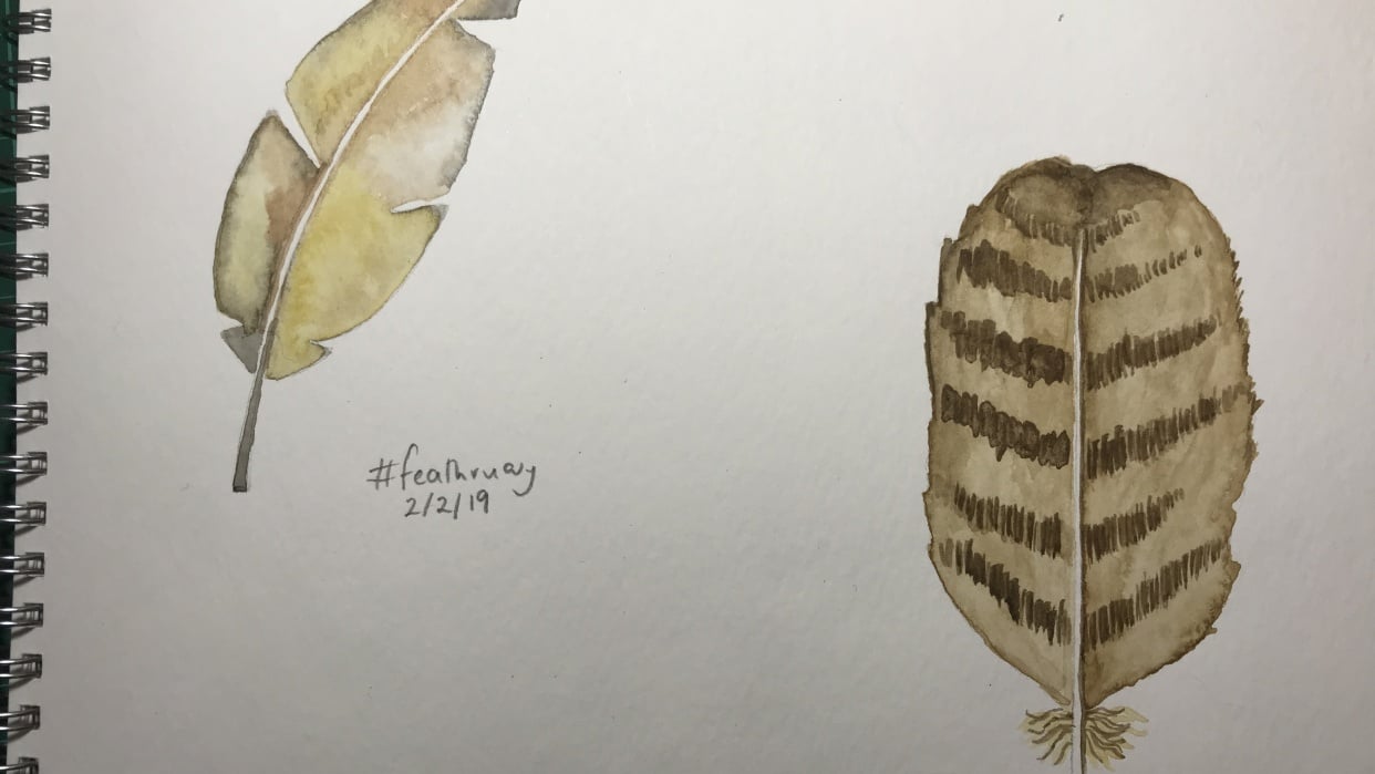 First two feathers | Skillshare Student Project