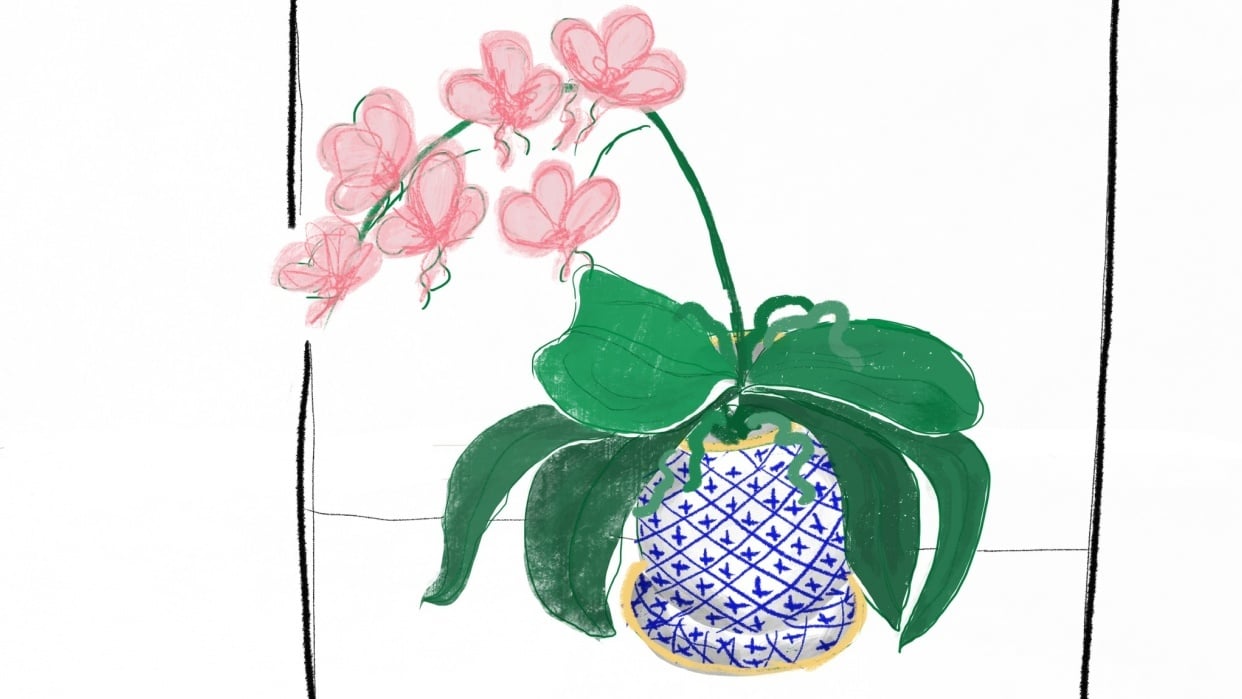 My first Procreate project | Skillshare Student Project My first Procreate project | Skillshare Student Project