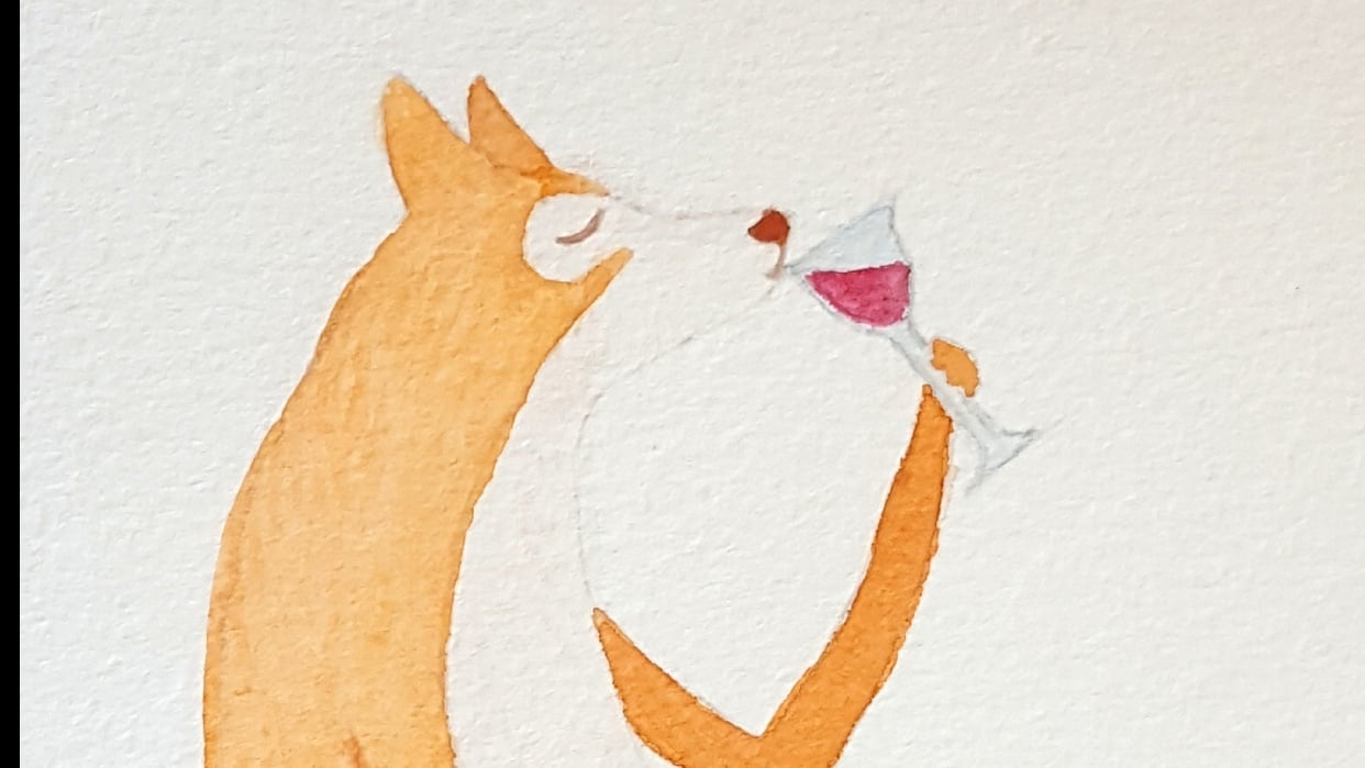 Fox & Wine | Skillshare Student Project
