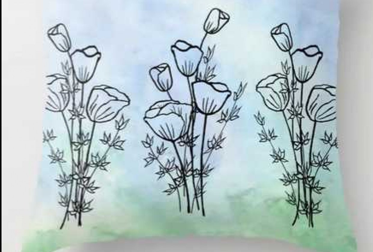 Poppy Sketches | Skillshare Student Project