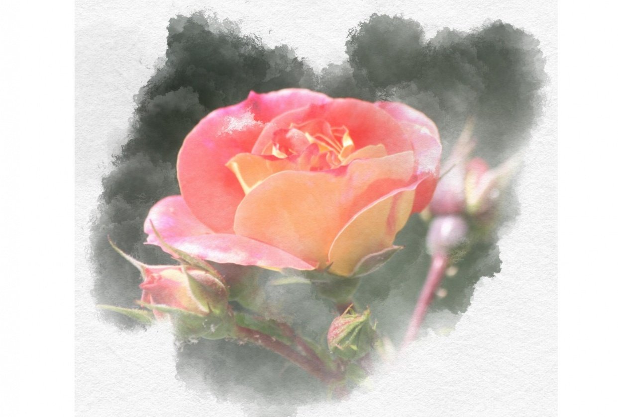 Designing with Procreate-Get creative with layer masks | Skillshare ...