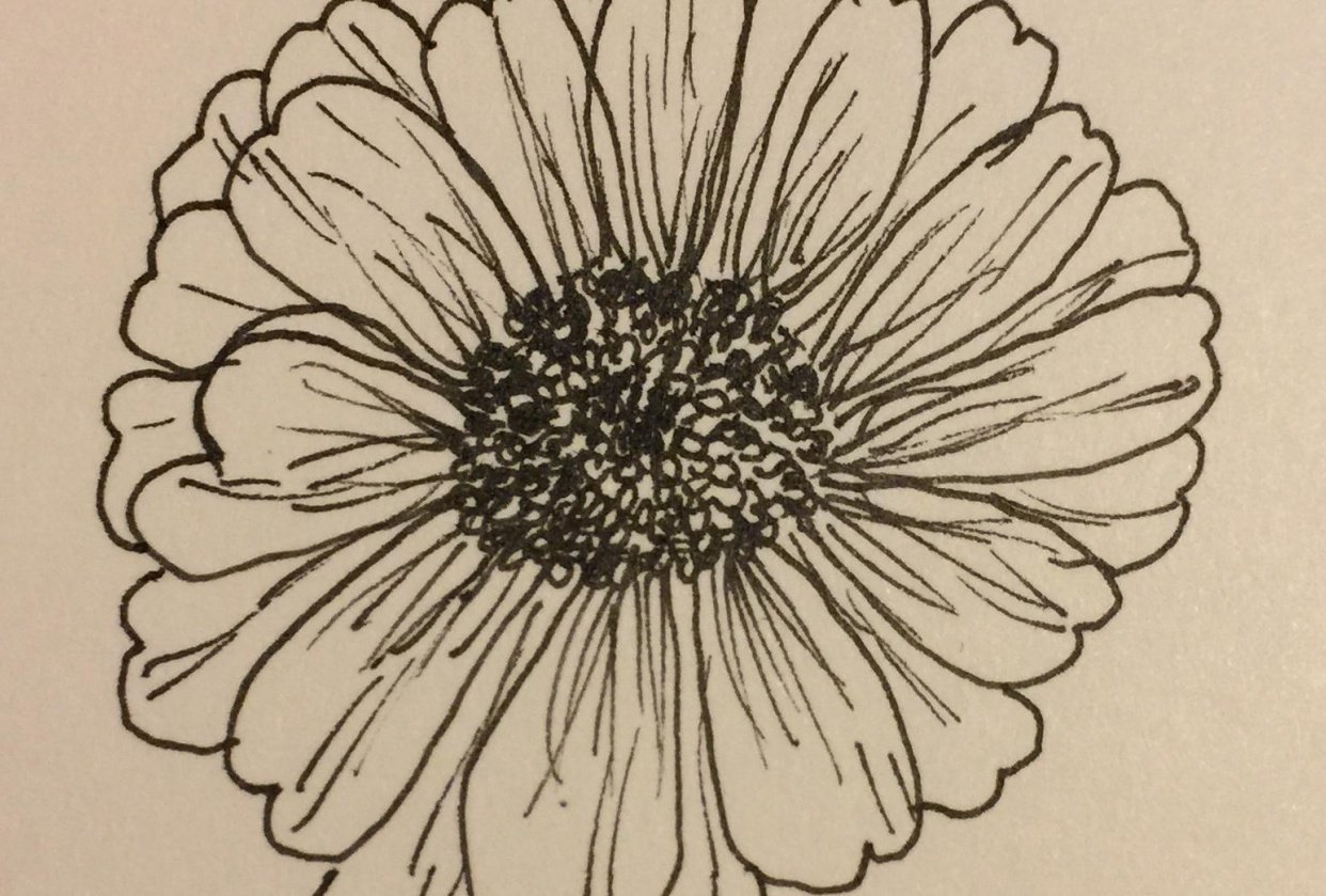 Daisy | Skillshare Student Project