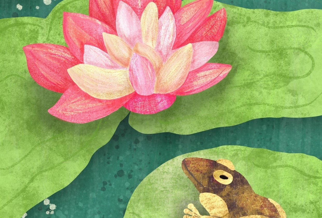 Lilypad and frog | Skillshare Student Project