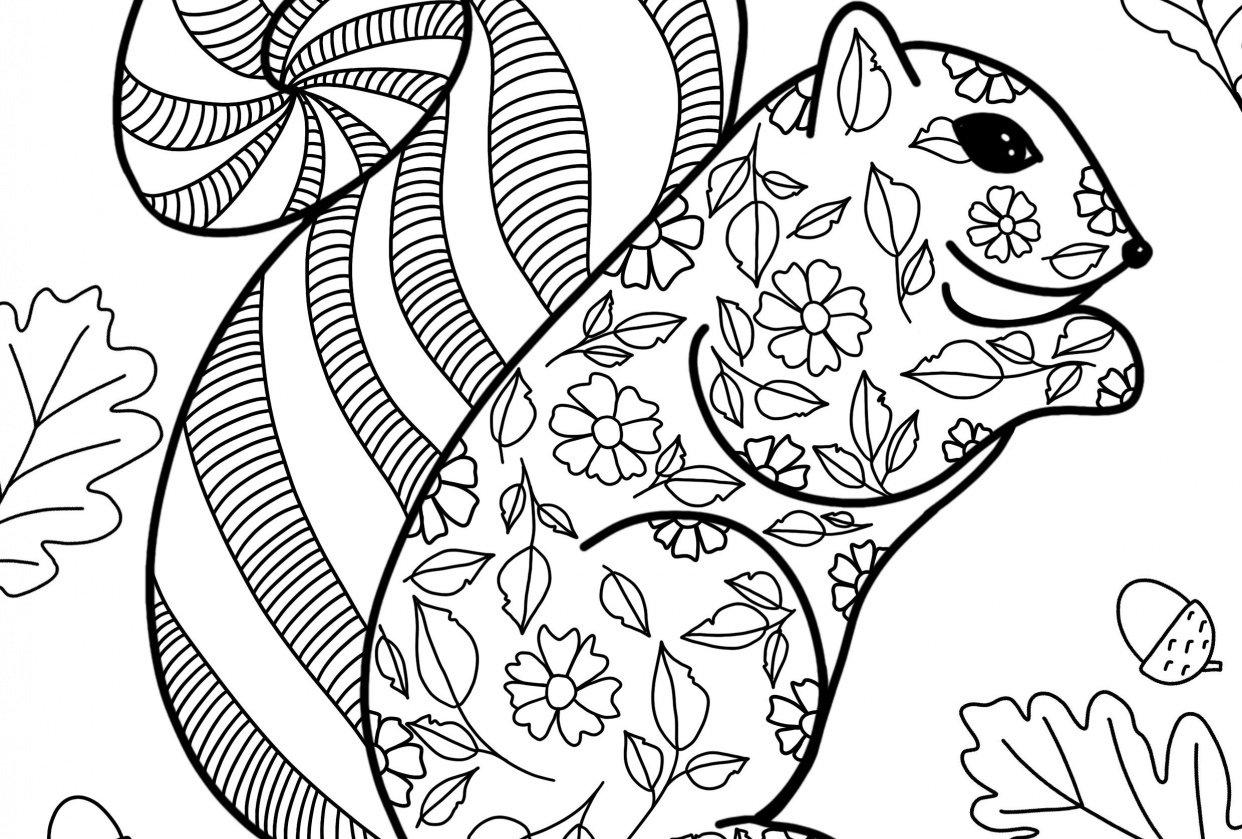 Squirrel Play Colouring Page 01 Skillshare Student Project Squirrel Play Colouring Page 01 Skillshare Student Project