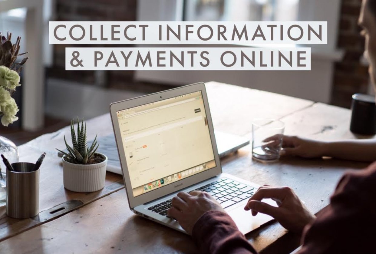 Collect any information or payment online! | Skillshare Student Project