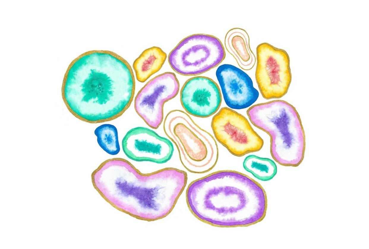 agatas | Skillshare Student Project