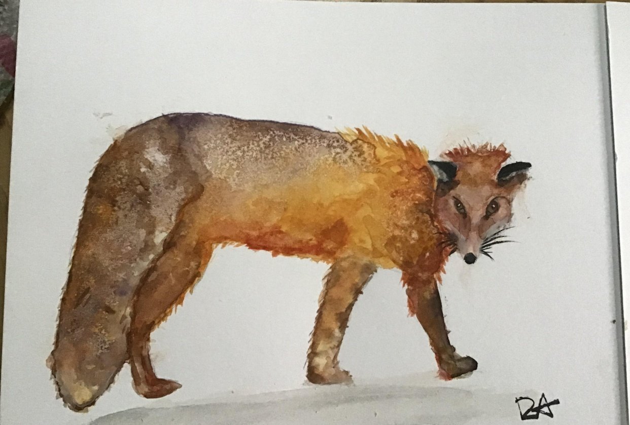 Watercolor Fox | Skillshare Student Project