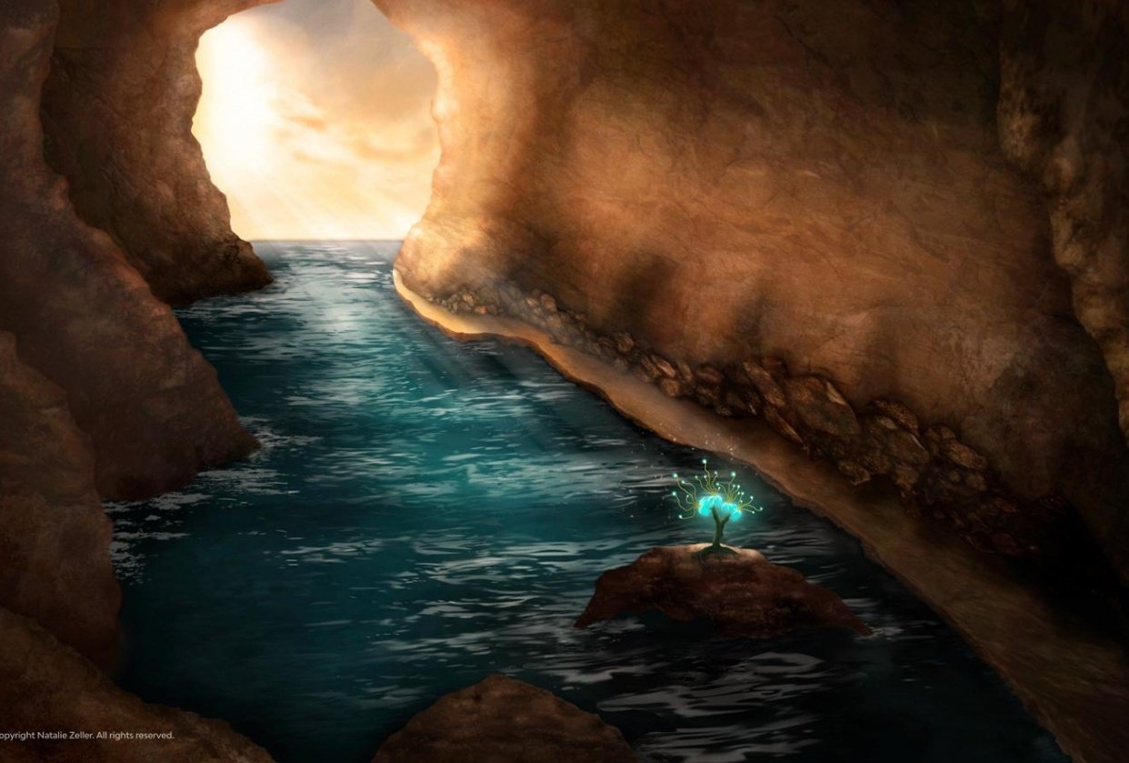 Hidden Path | Skillshare Student Project