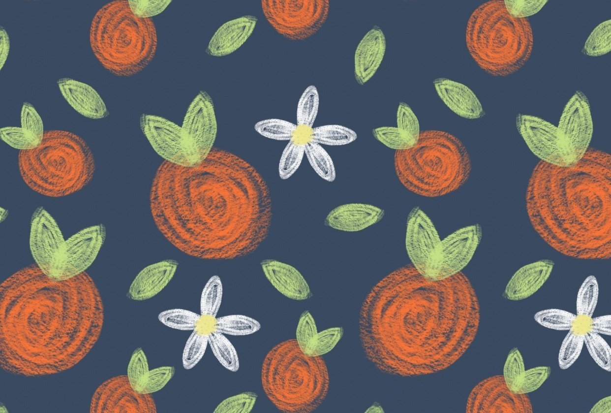 Oranges | Skillshare Student Project