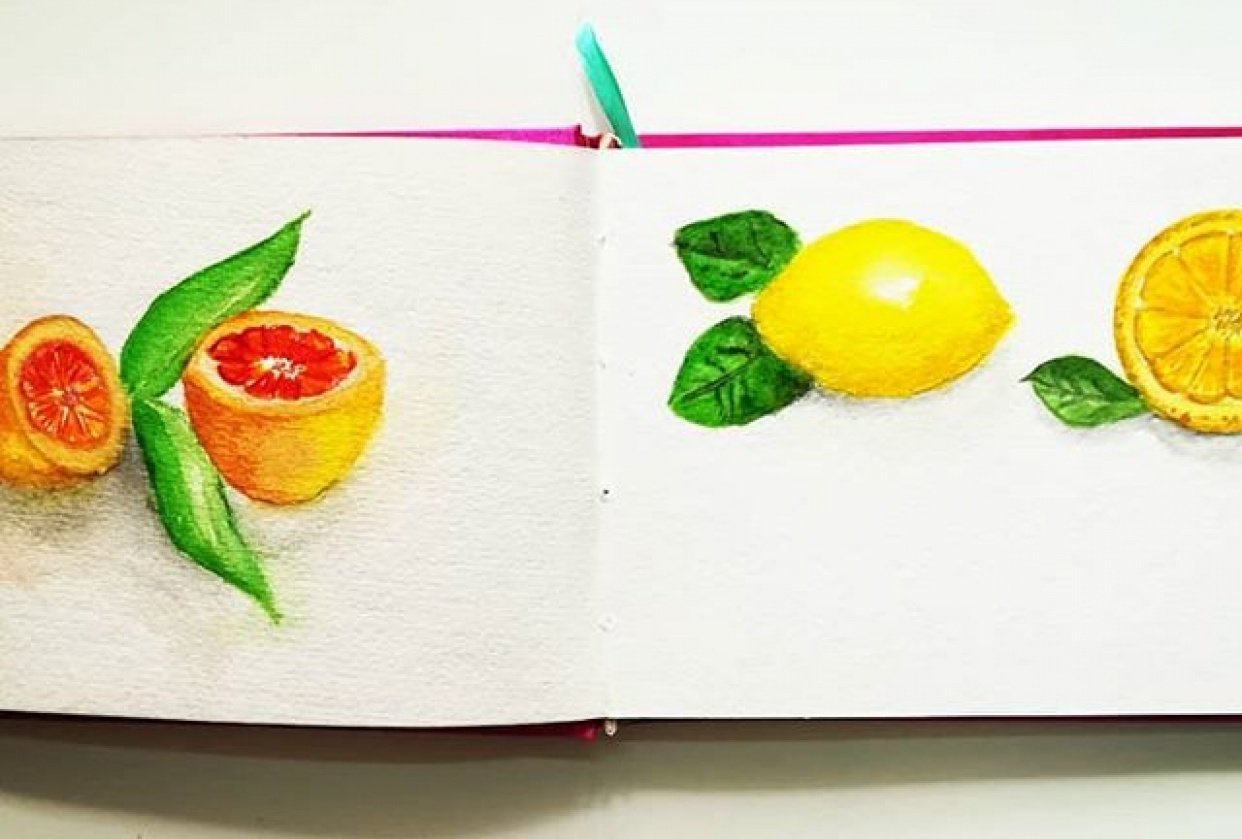 citrus fruits drawing | Skillshare Student Project