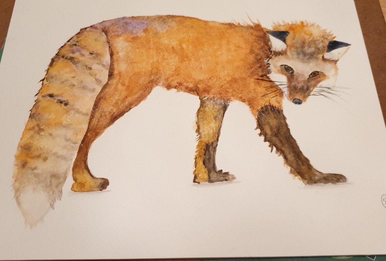 Mr fox | Skillshare Student Project