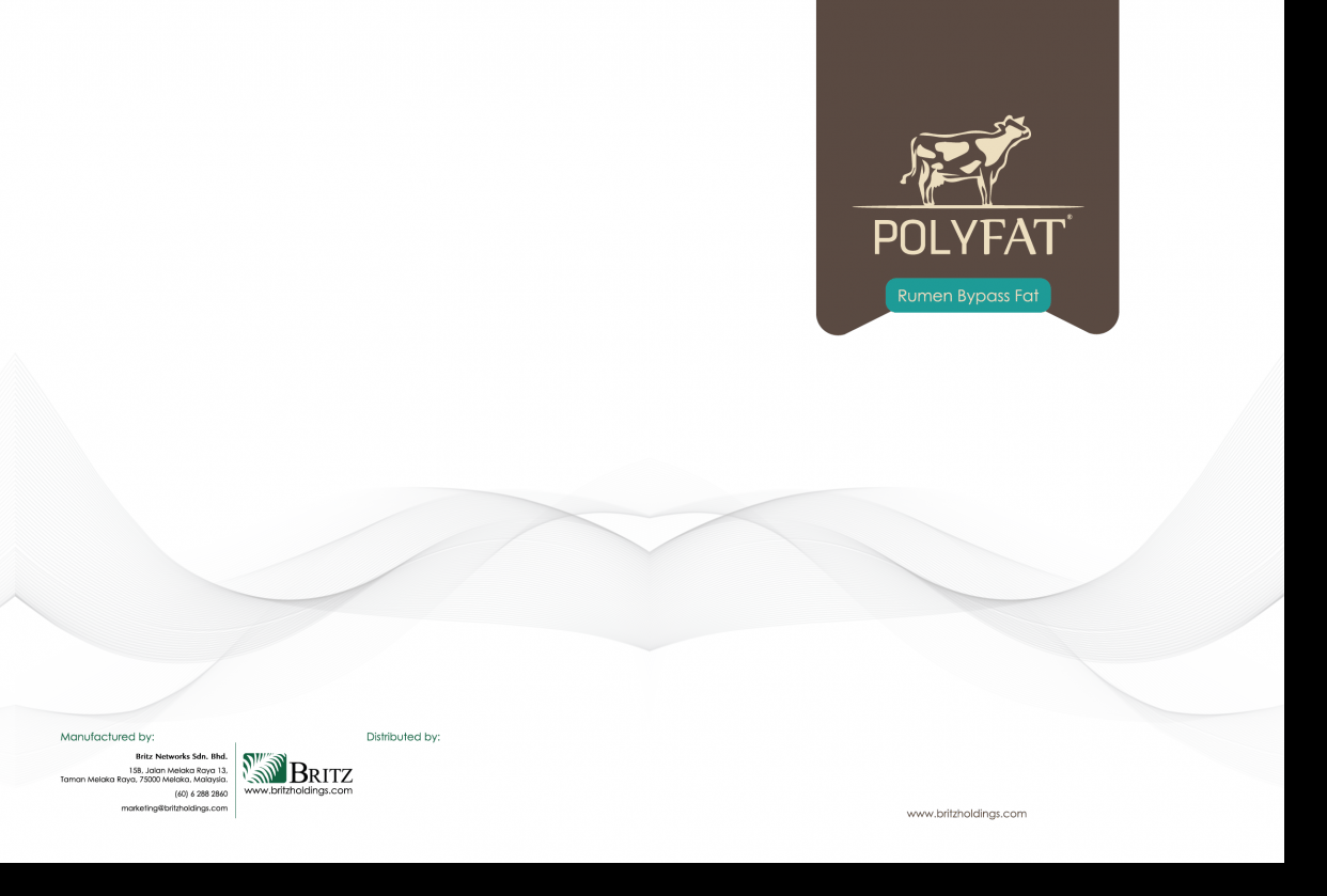 POLYFAT | Skillshare Student Project