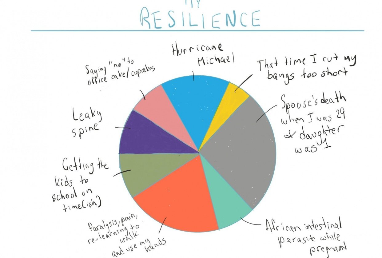 Resilience Pie Chart | Skillshare Student Project