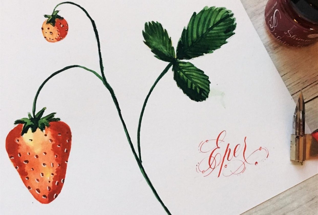 Eper (strawberry) | Skillshare Student Project