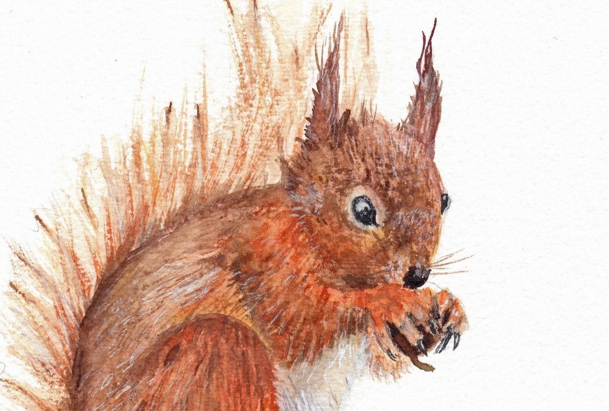 Fur exercises | Skillshare Student Project