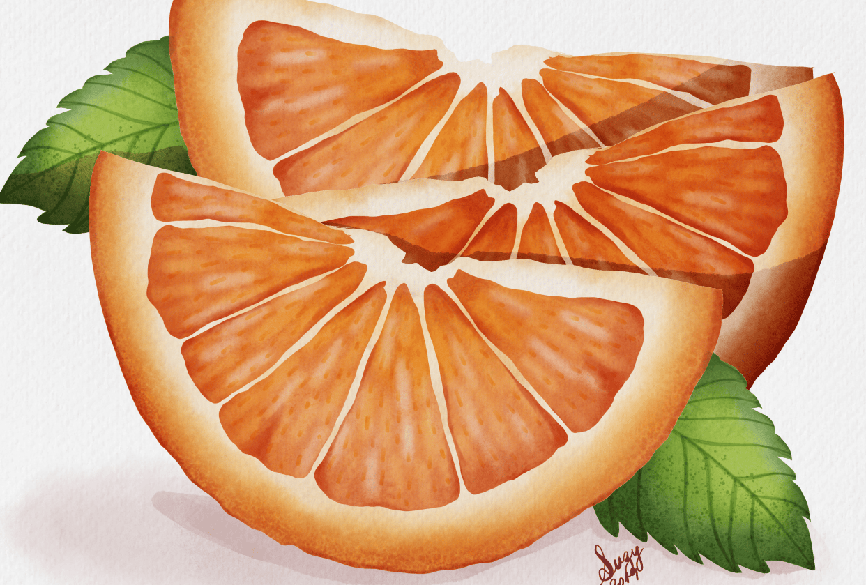 Watercolor Oranges | Skillshare Student Project