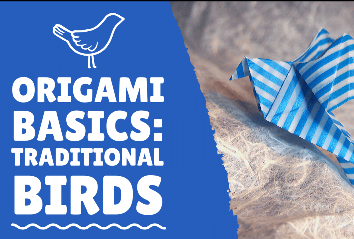 Origami Basics - Traditional Origami Birds | Skillshare Student Project
