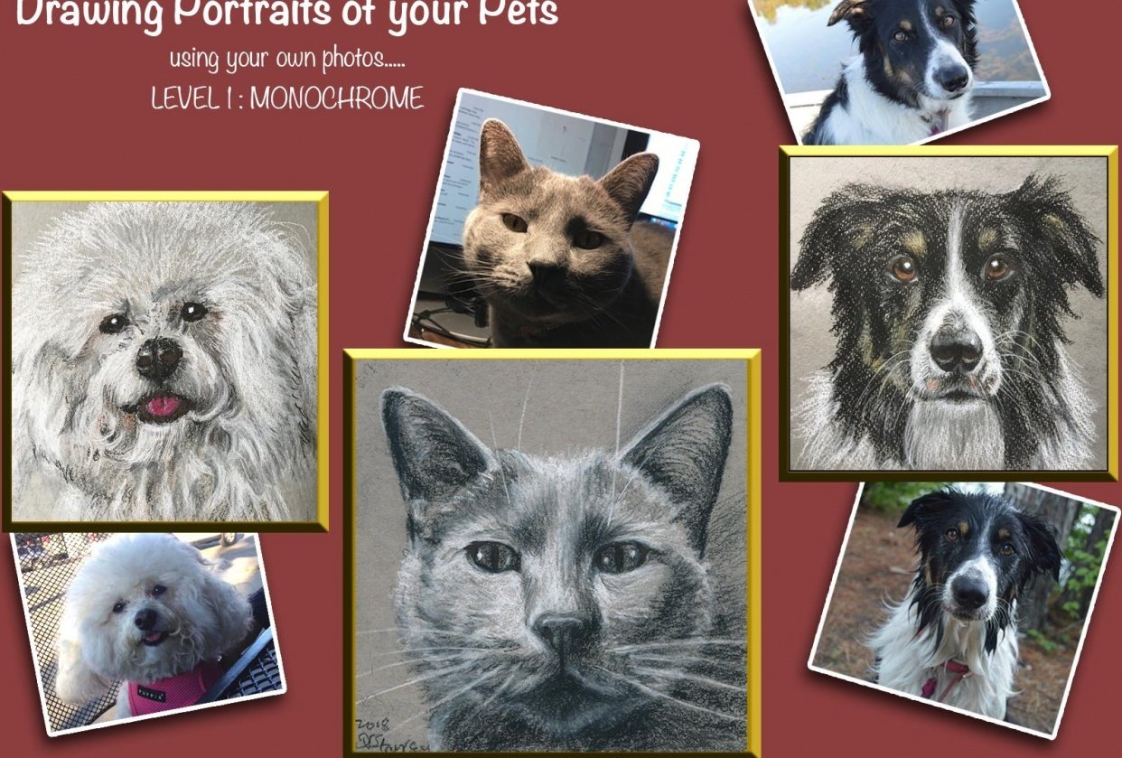 Draw Portraits of your Pets | Skillshare Student Project