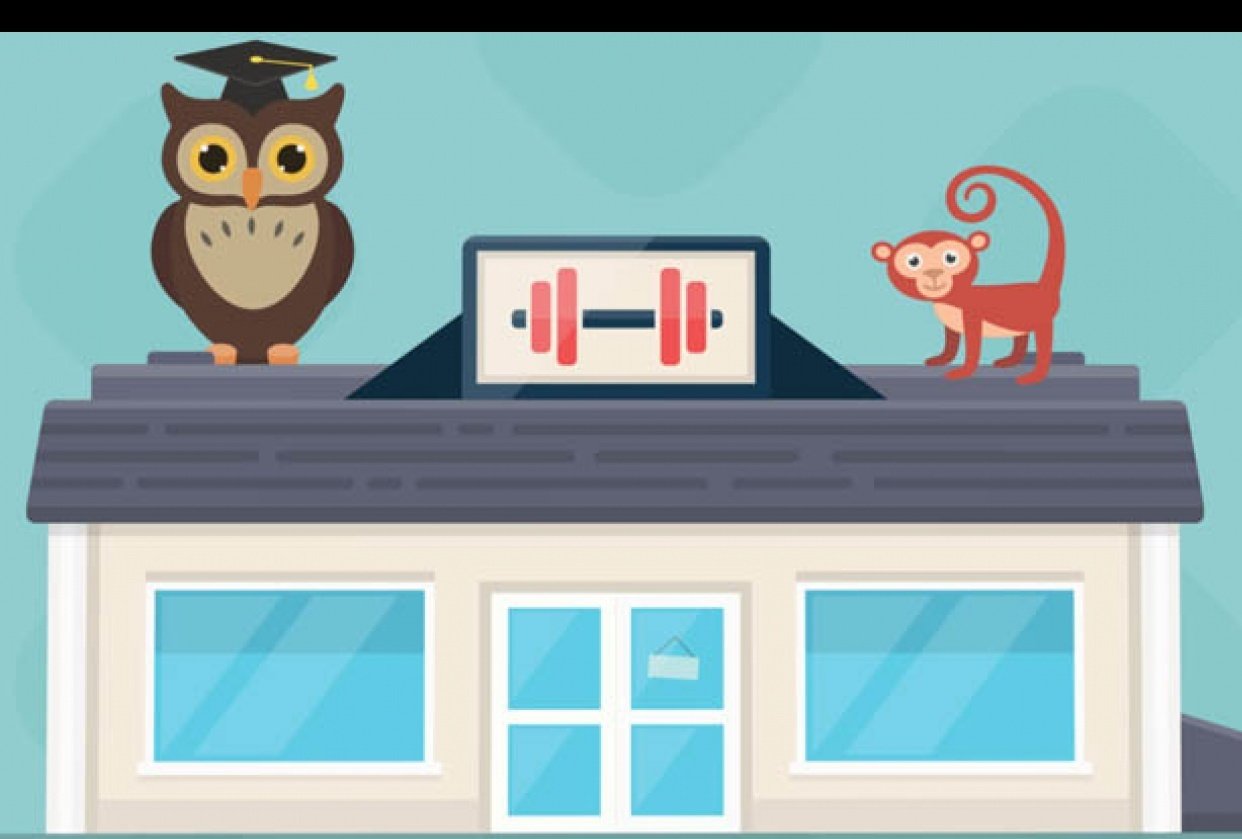 Crazy monkey... | Skillshare Student Project