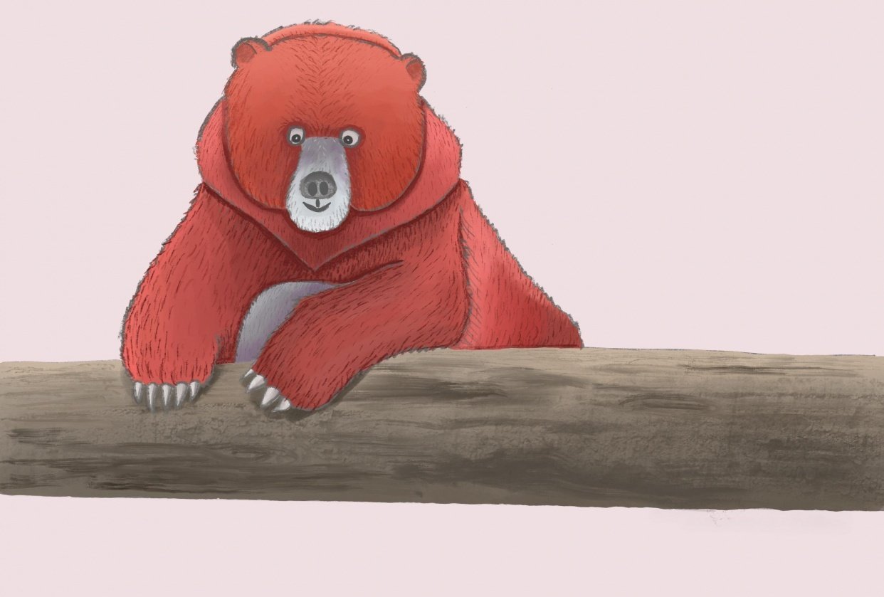 First cartoon bear | Skillshare Student Project