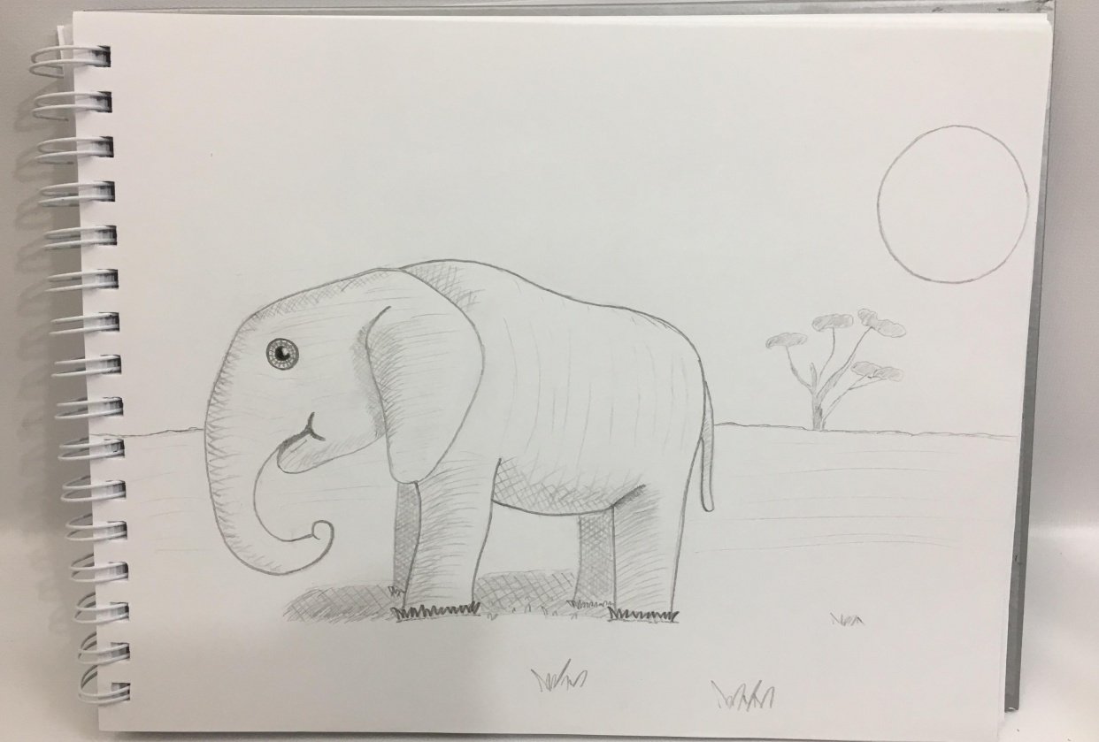 Elephant | Skillshare Student Project