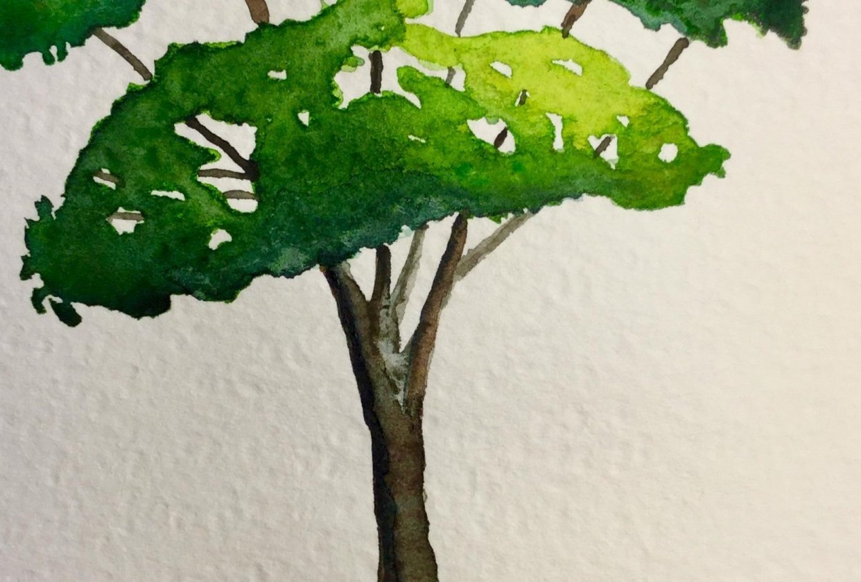 Trees | Skillshare Student Project