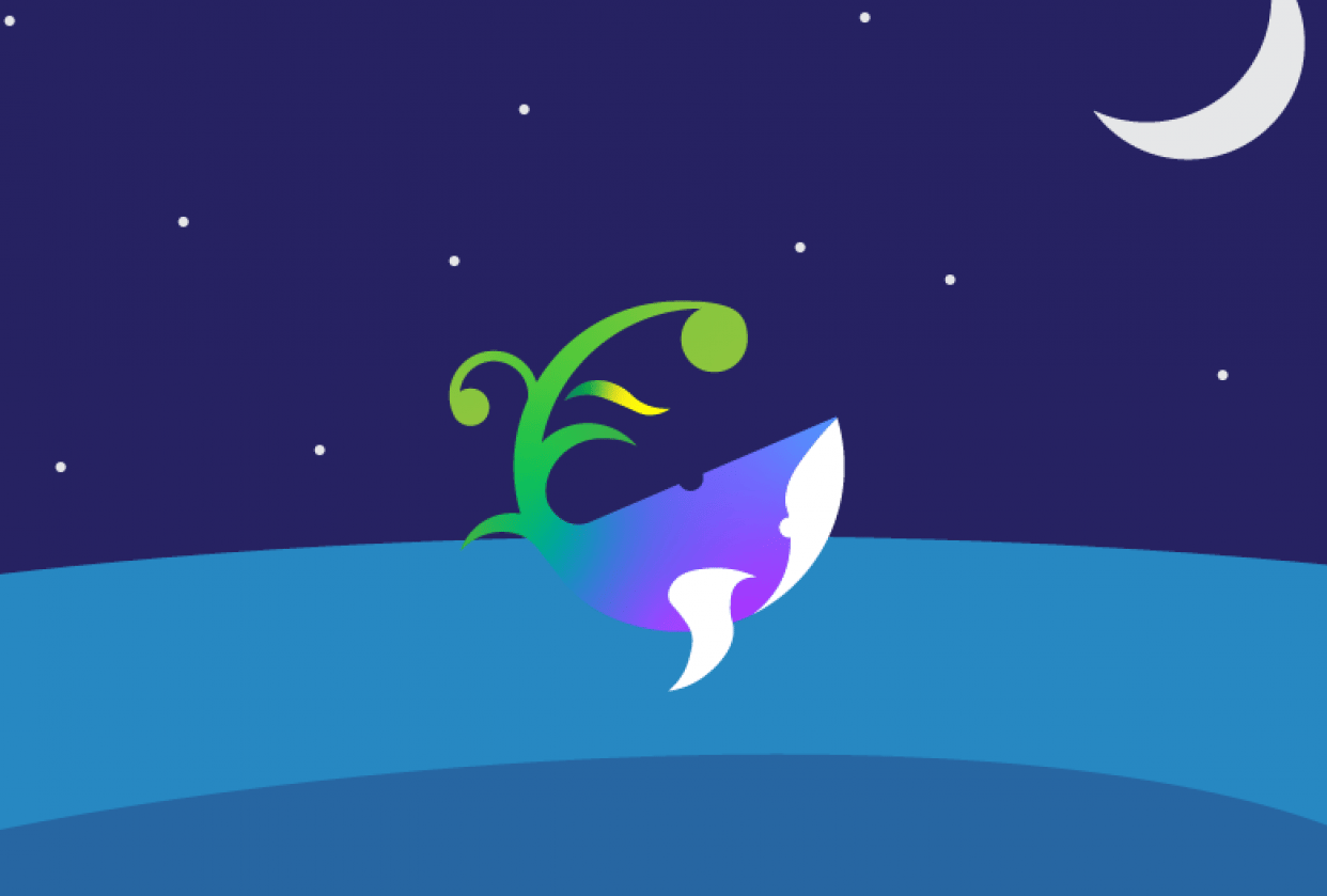 Advanced Illustrator Projects | Skillshare Student Project