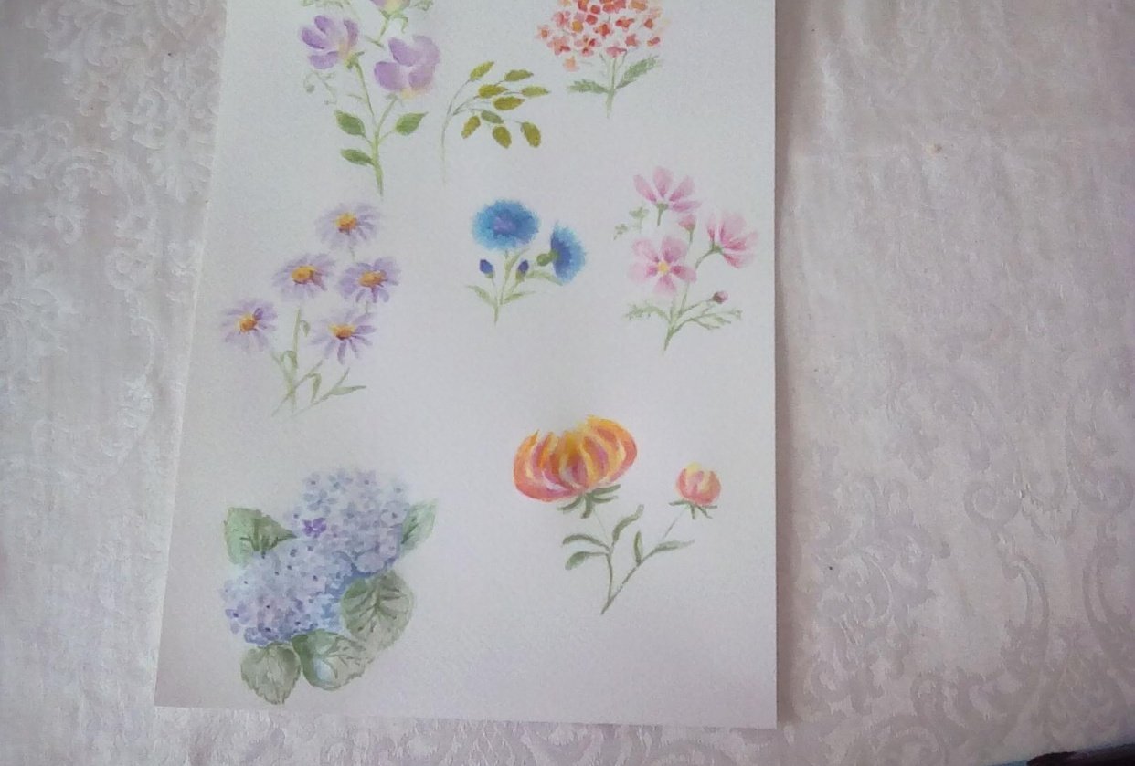 Summer flowers | Skillshare Student Project