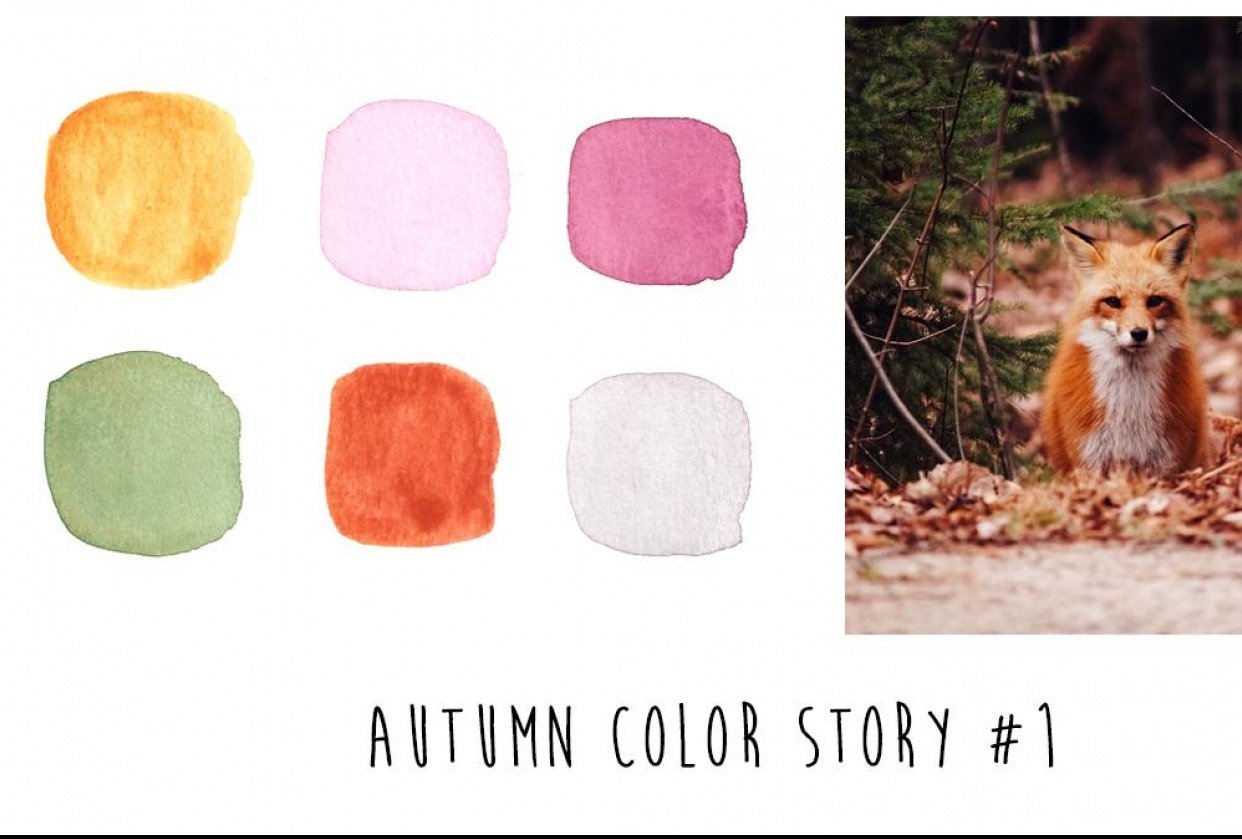 Autumn Color Trends 2019 {Sample Project} | Skillshare Student Project