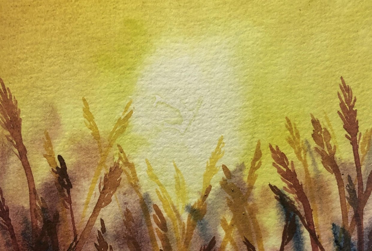 Watercolor Field | Skillshare Student Project