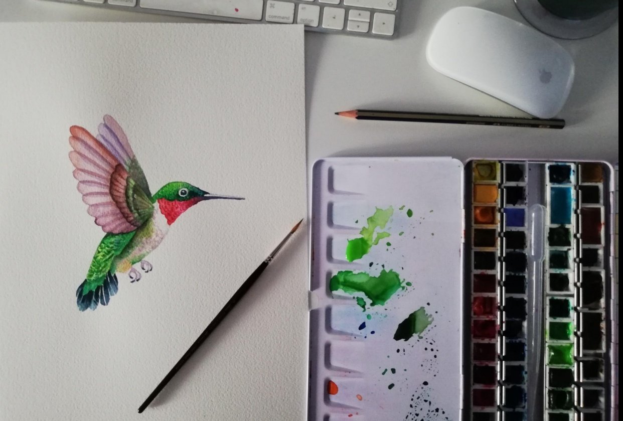 Watercolor hummingbird | Skillshare Student Project