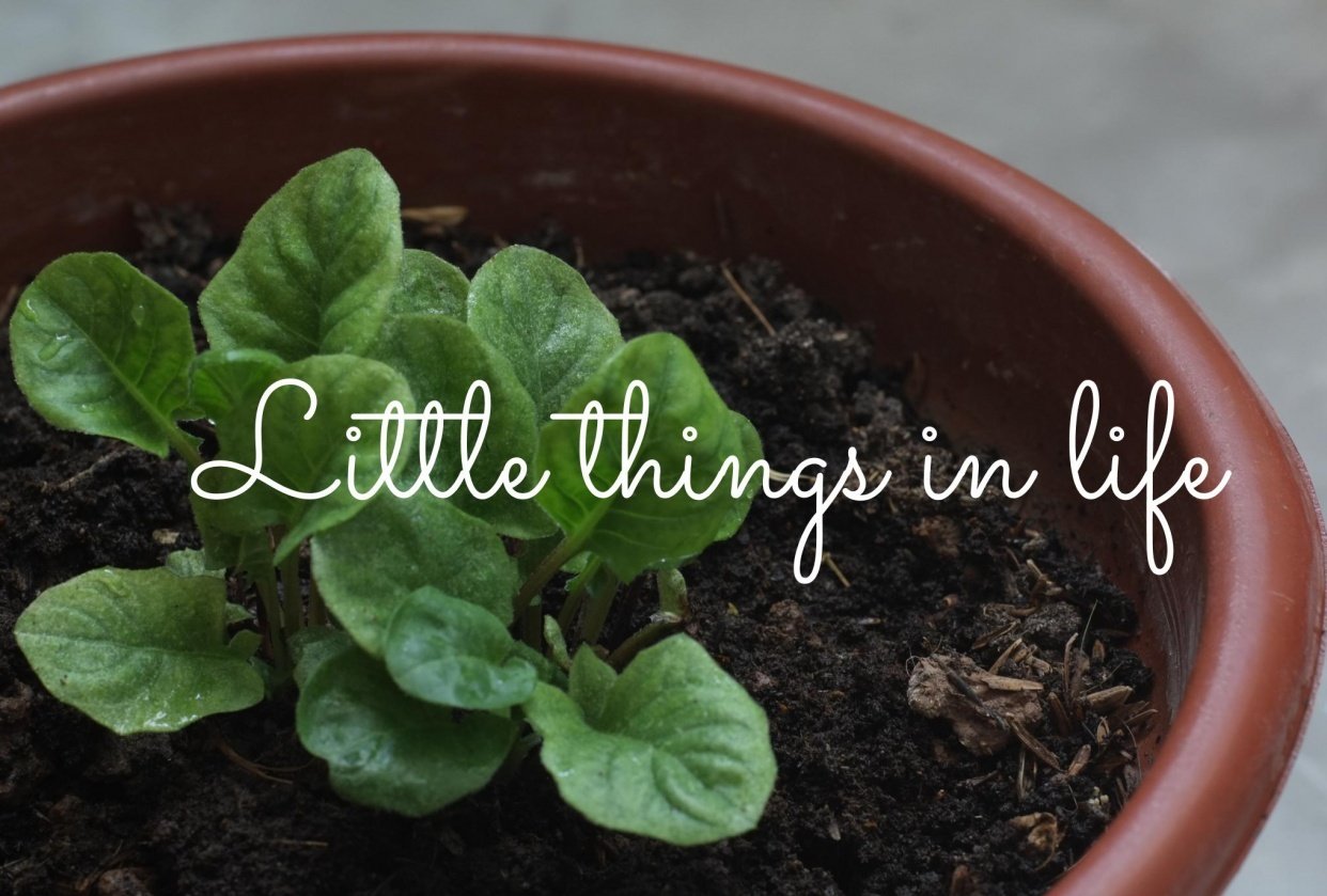 Little things that matter | Skillshare Student Project