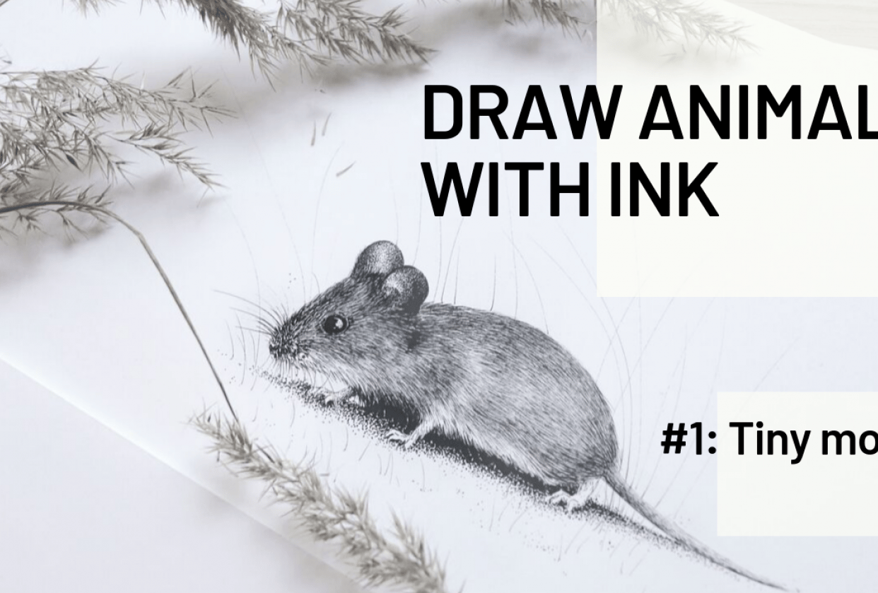 DRAW ANIMALS WITH INK: #1 step by step of a tiny mouse illustration ...