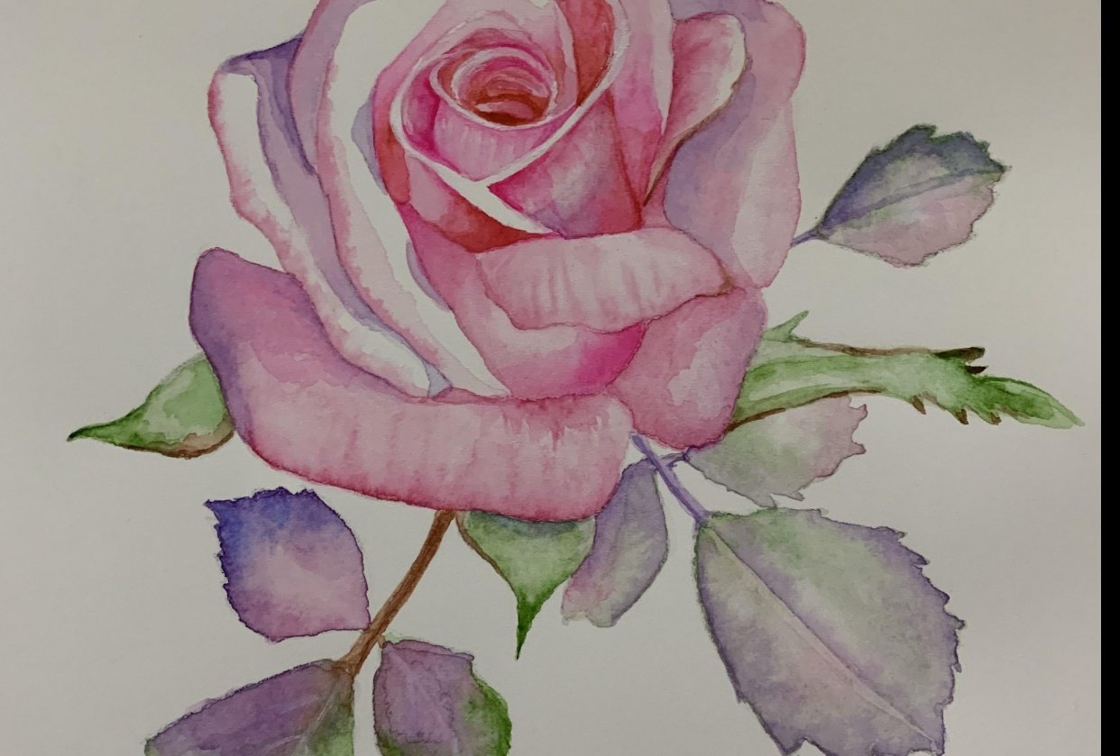 My Rose | Skillshare Student Project