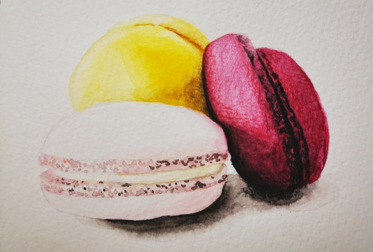 Macaroon Practice | Skillshare Student Project