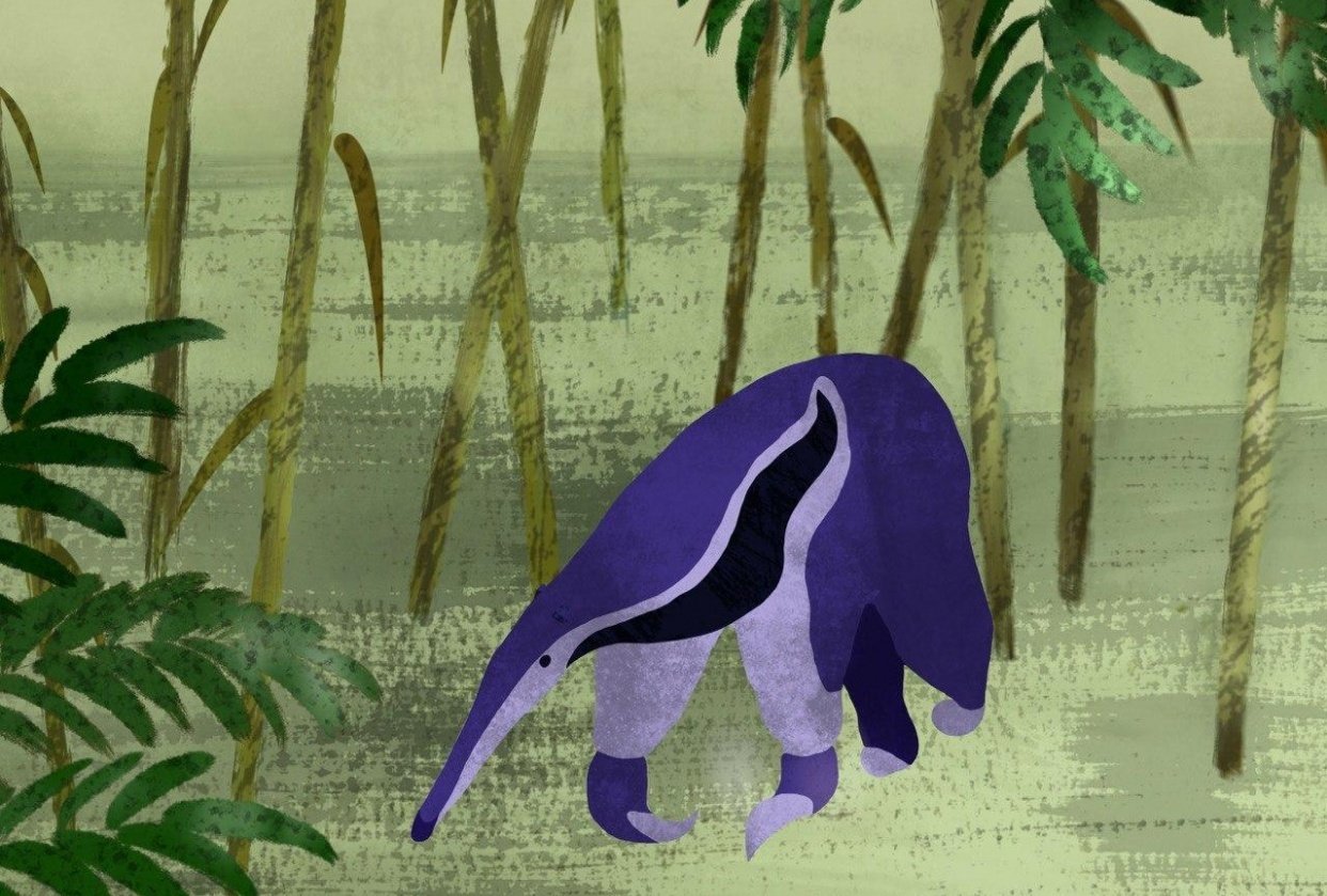 Ant-eater | Skillshare Student Project