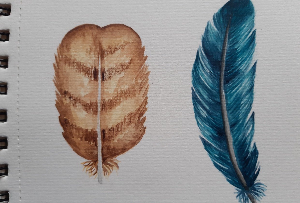 Watercolor Feathers | Skillshare Student Project