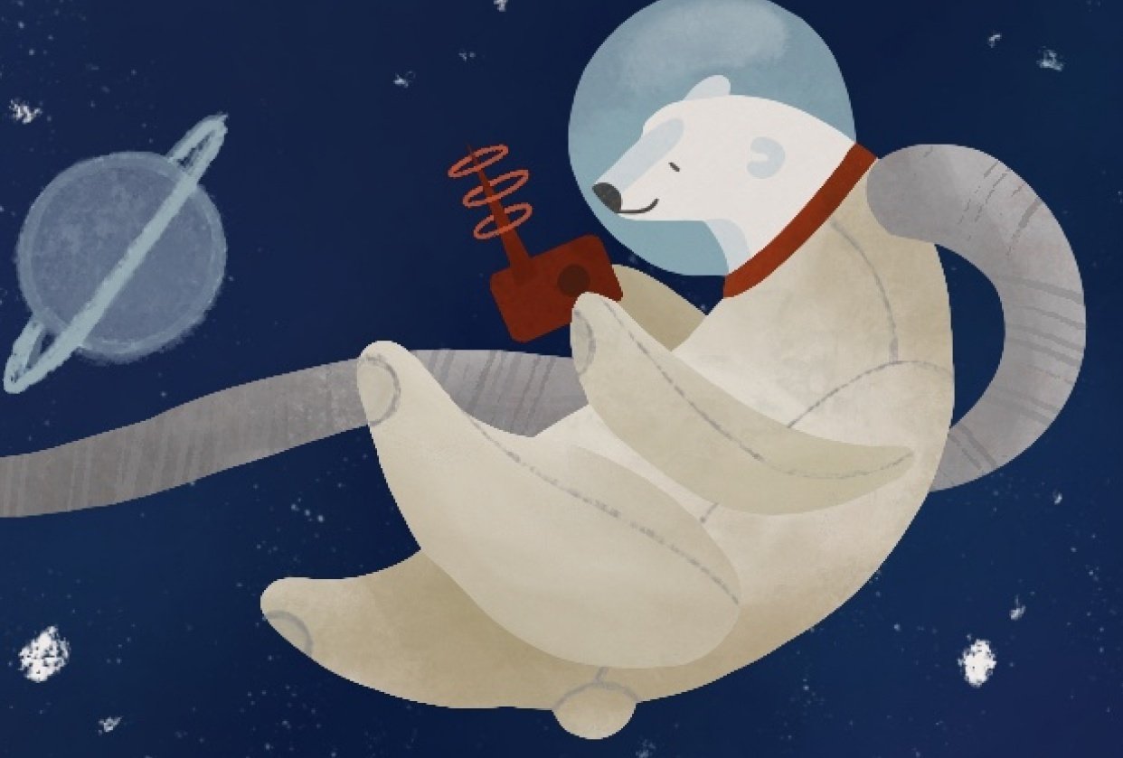 SPACE BEARS | Skillshare Student Project