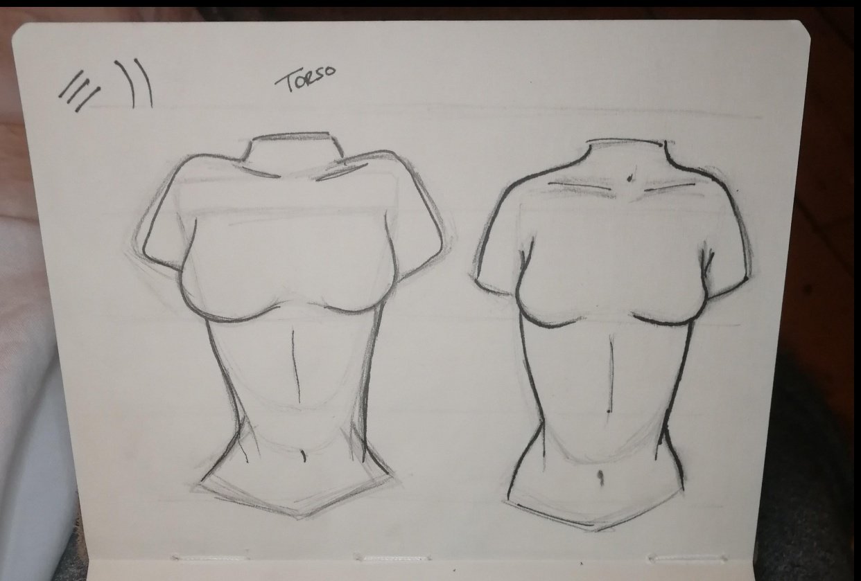 Female Torso Basic Shapes | Skillshare Student Project