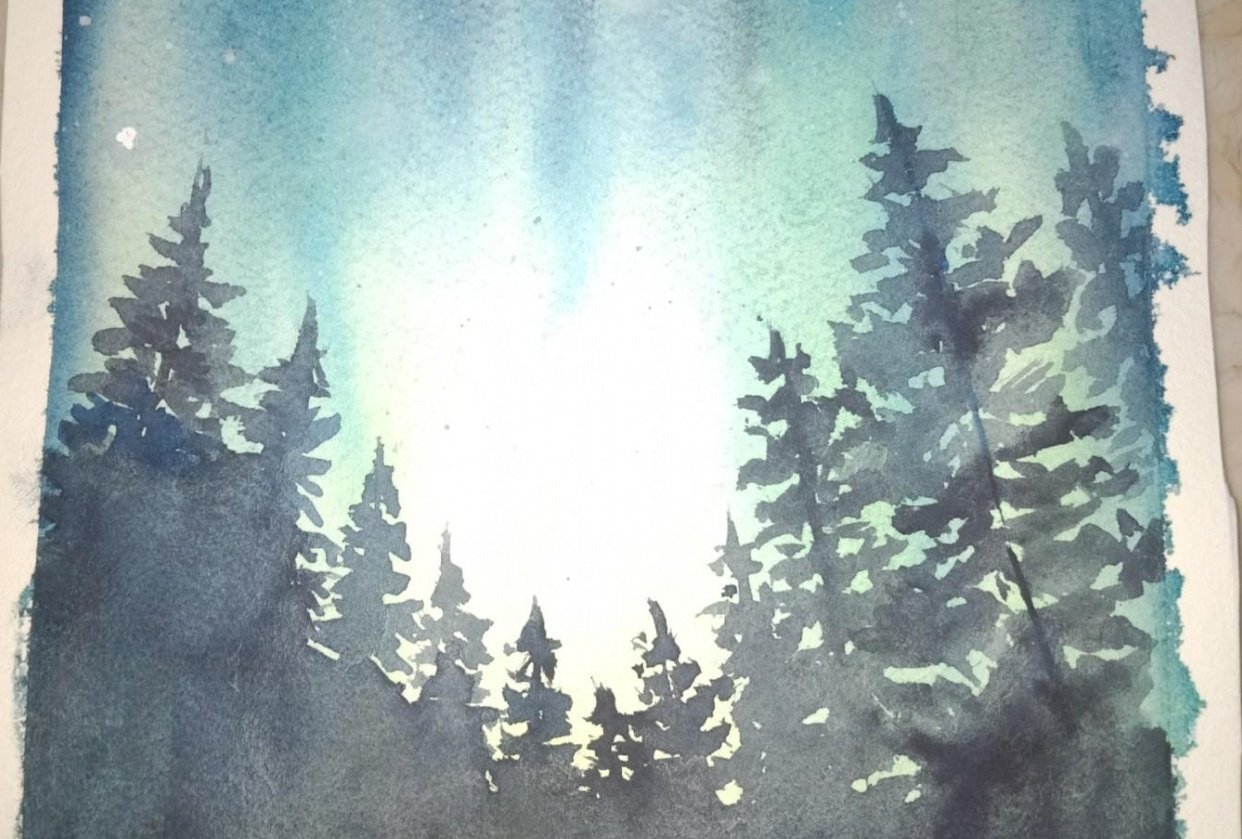 northern lights and pine forest | Skillshare Student Project