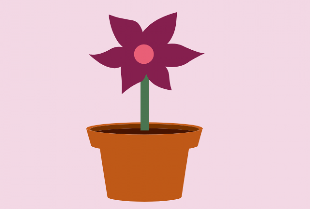 Growth Skillshare Student Project