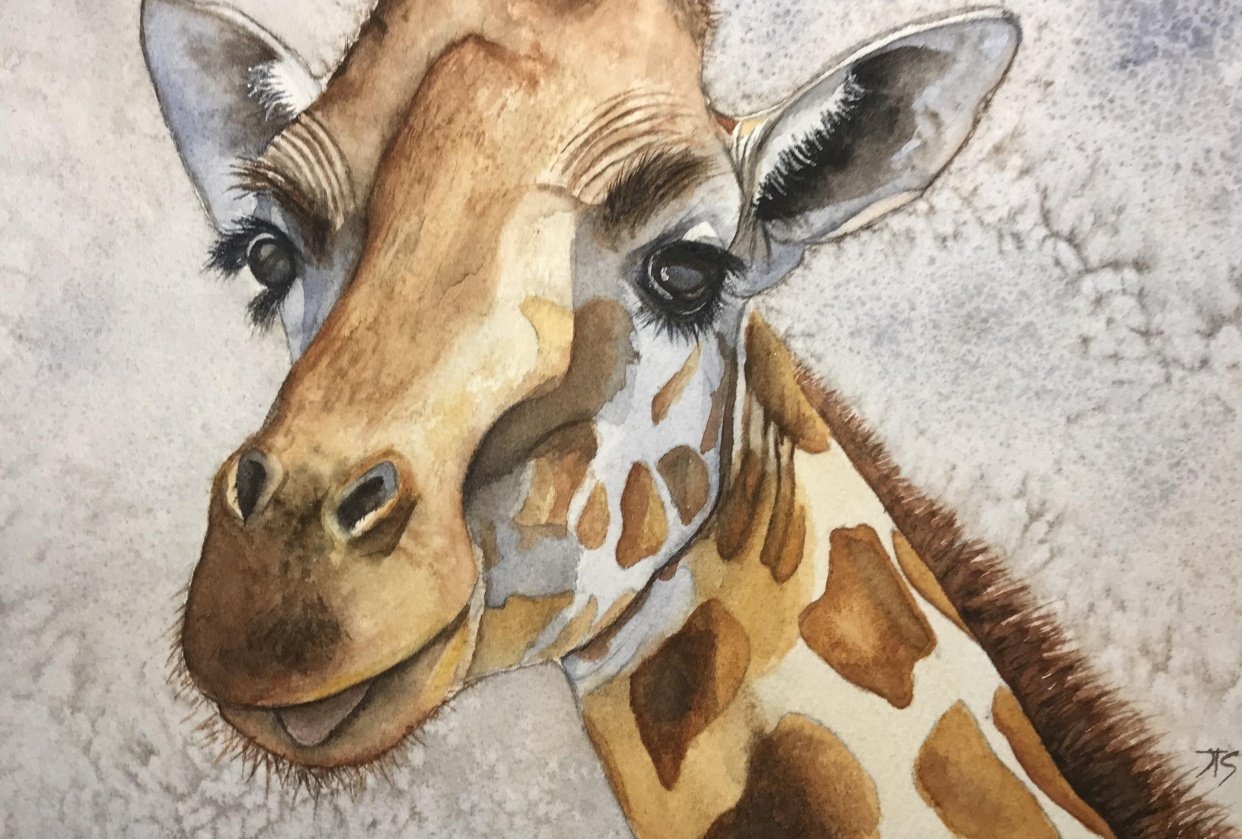 Giraffe | Skillshare Student Project
