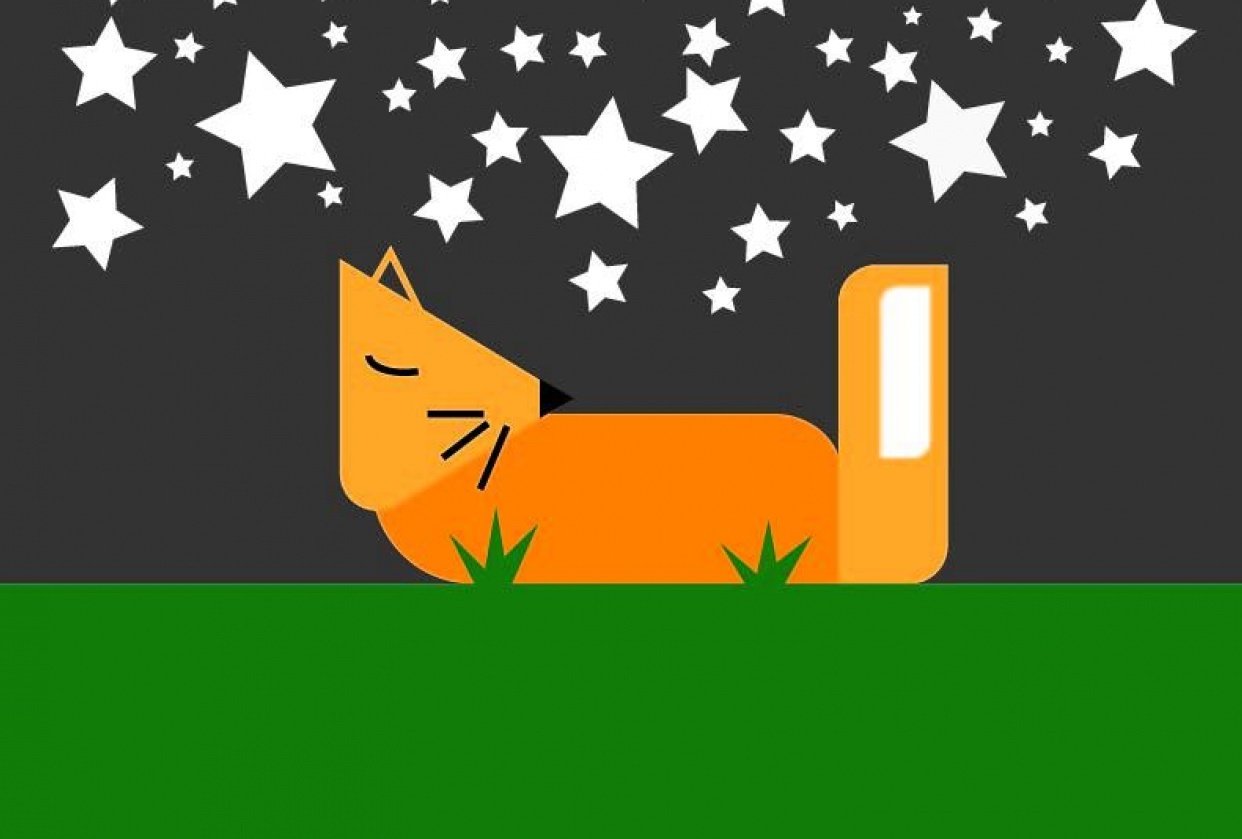 Sleeping fox | Skillshare Student Project