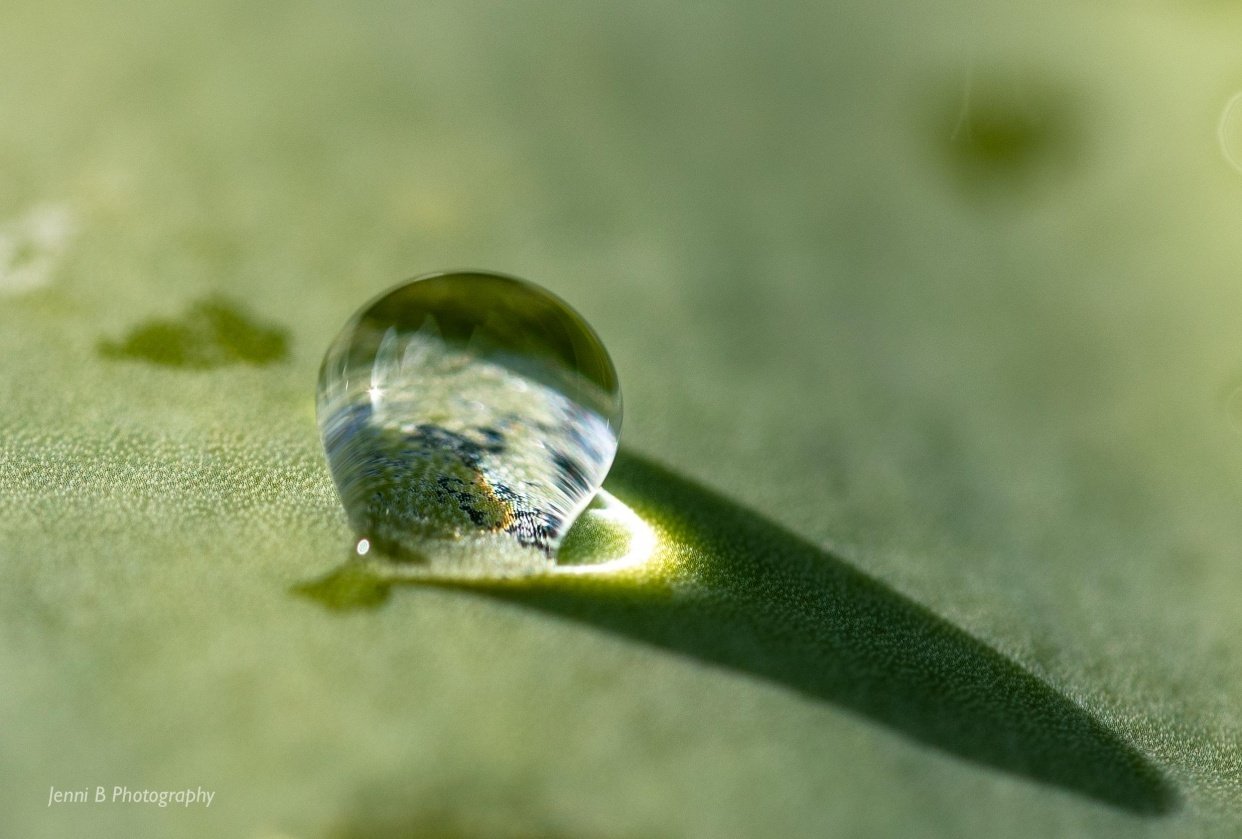 Raindrop reflections | Skillshare Student Project